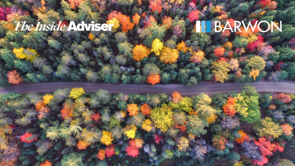 News & Insights - Barwon Investment Partners